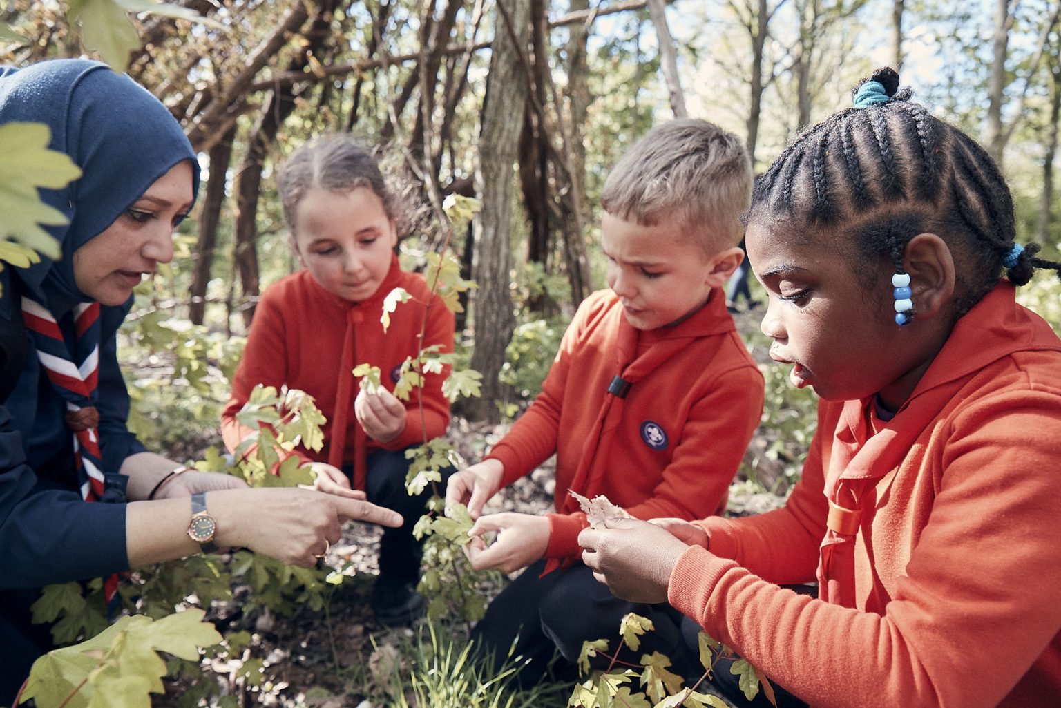 Squirrels – Worthing Scouts
